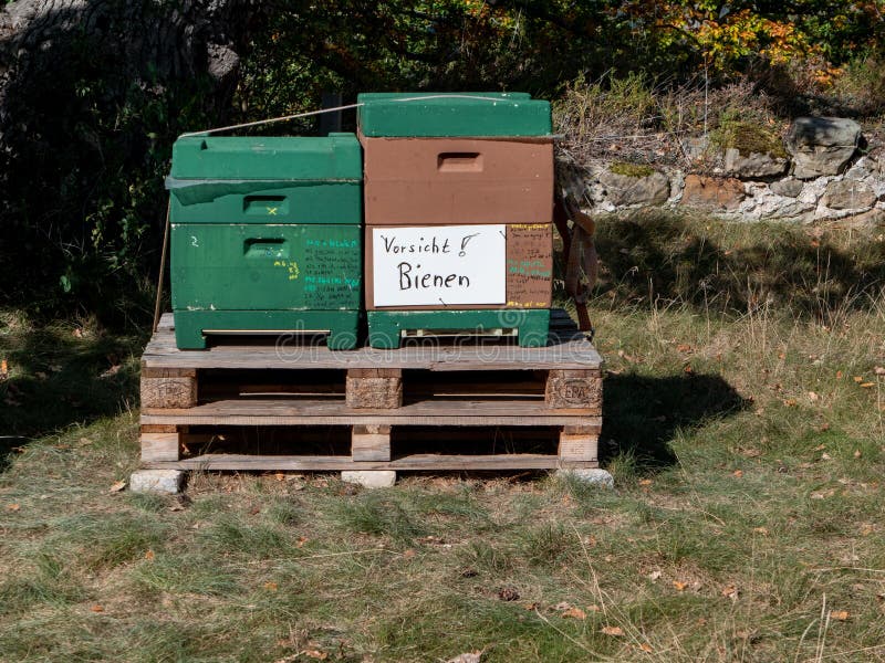 Beekeeper Boxes Bee Colony Farm Field Stock Photo - Image of green ...