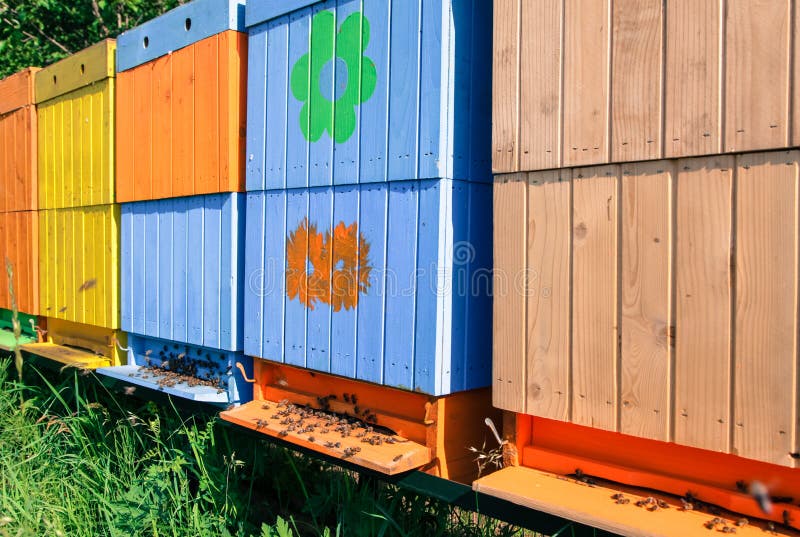 Beehive stock photo. Image of beekeeping, house, honey - 56066090