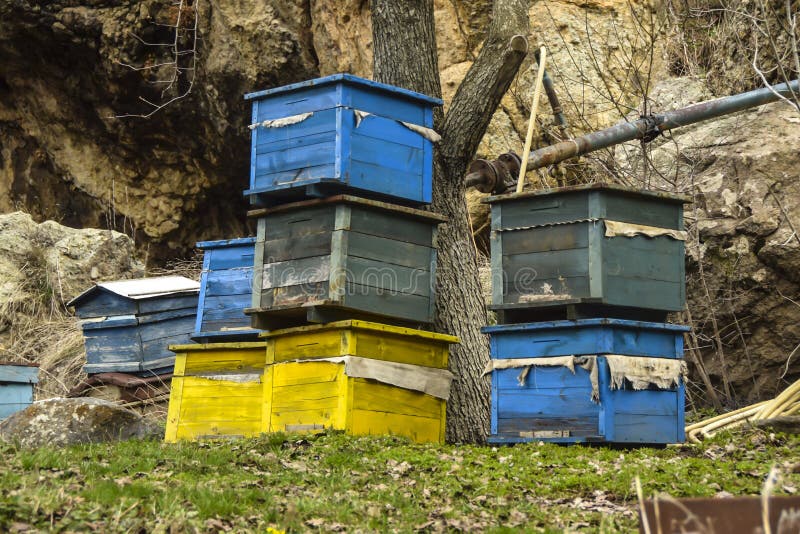 Beehive Crates with Multicolored Bees Stand Farming Abstraction Stock ...