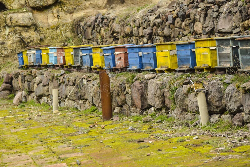 Beehive Crates with Multicolored Bees Stand Farming Abstraction Stock ...
