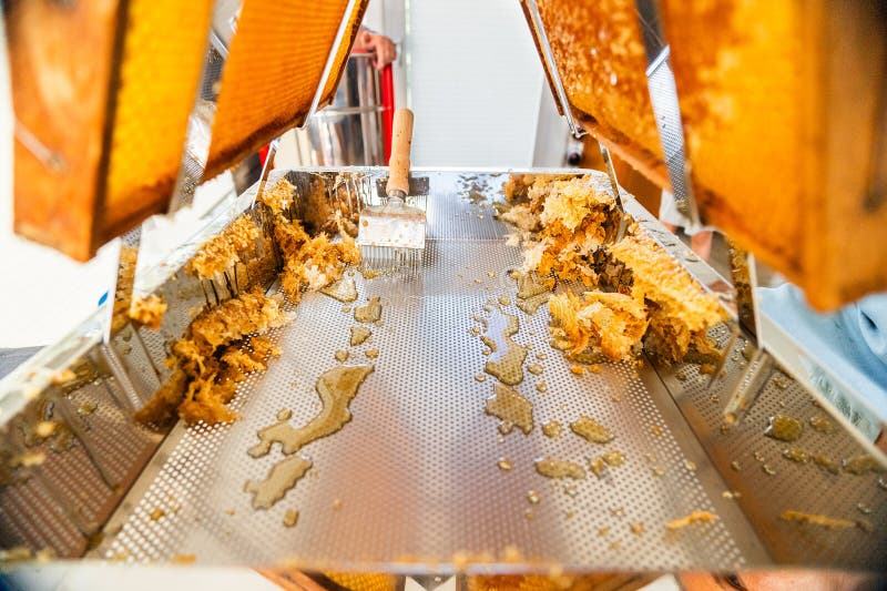 Beehive Decapping Tray Filled with Beewax Won by Scratching Open the ...