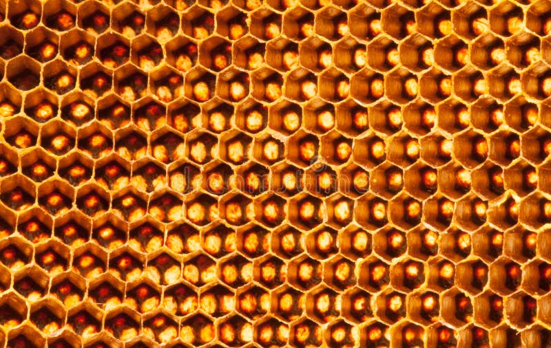 Silver Beehive Background stock photo. Image of conceptual - 1618028