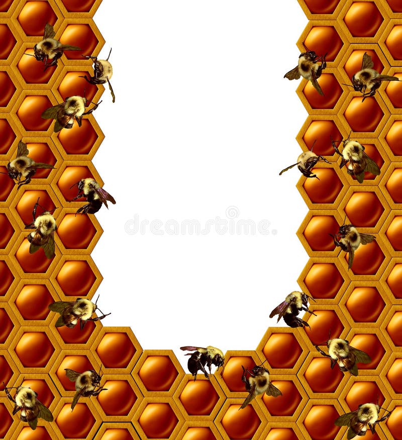 Honeycomb Clipart Border