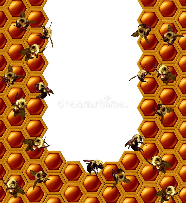 Beehive Frame Stock Illustrations – 5,033 Beehive Frame Stock ...