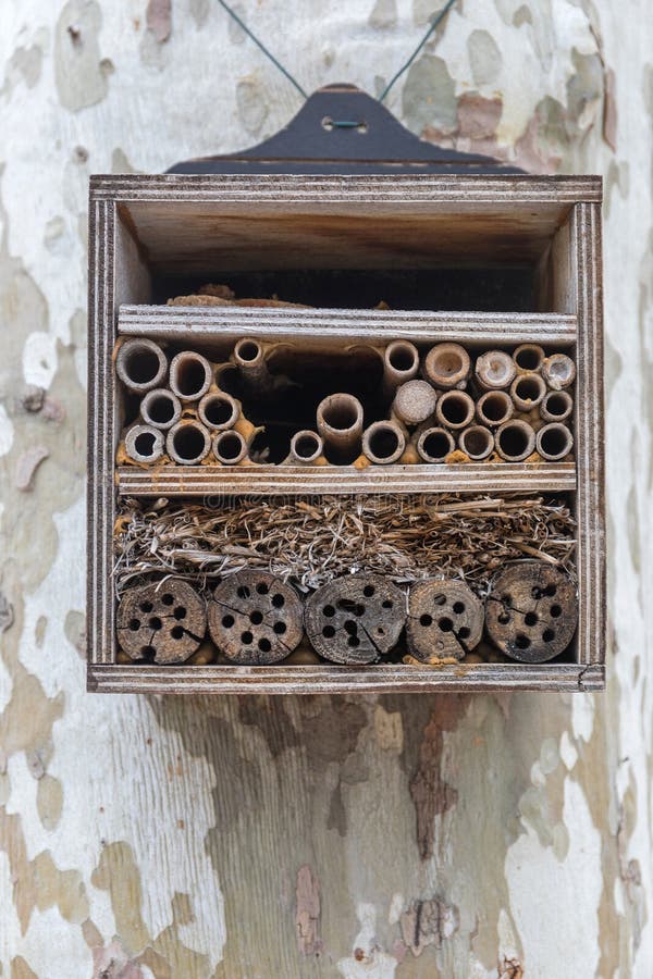Beehive Hotel Box stock image. Image of nest, hive, tree - 171670269