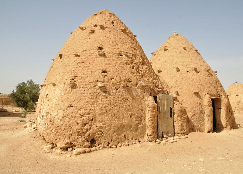 Beehive Houses Presentation