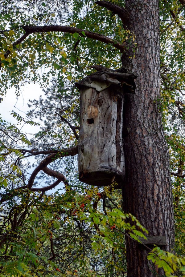 A Beehive Made of a Log Hangs Stock Photo - Image of bees, roof: 193727932