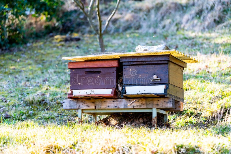 Beehive Outside on the Madow Stock Image - Image of jelly, equilibrium ...