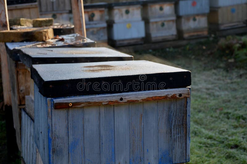 A Beehive that is Poorly Insulated and Heat Escapes from Unde Stock ... A Beehive that is Poorly Insulated and Heat Escapes from Unde Stock ...