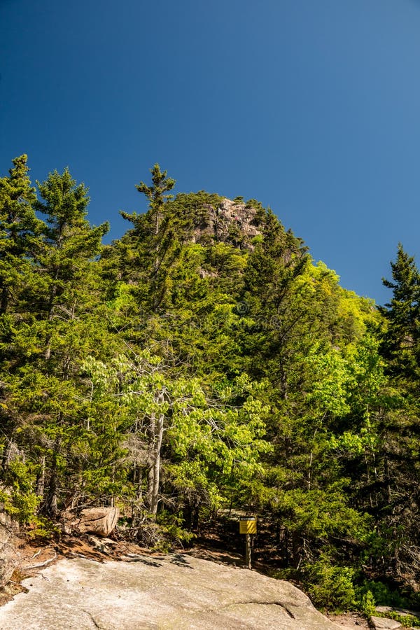The Beehive Rises Over the Thick Forested Trail Head Stock Image ...