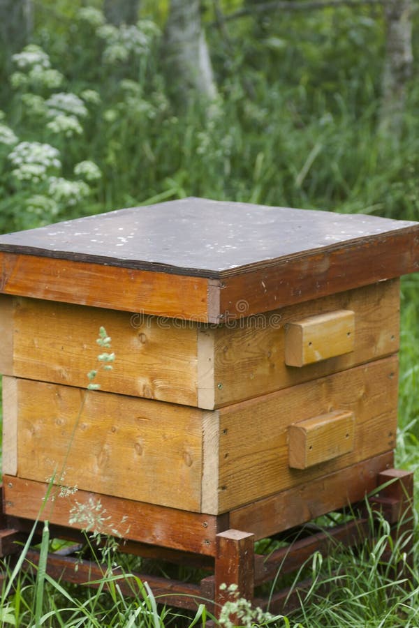 Beehive stock photo. Image of home, insects, animals - 73791080