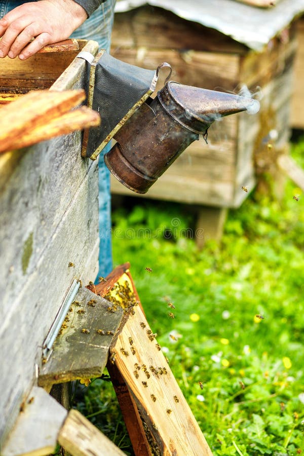 Beehive Spring Management. Apiary Stock Image - Image of honeybee, farm ...