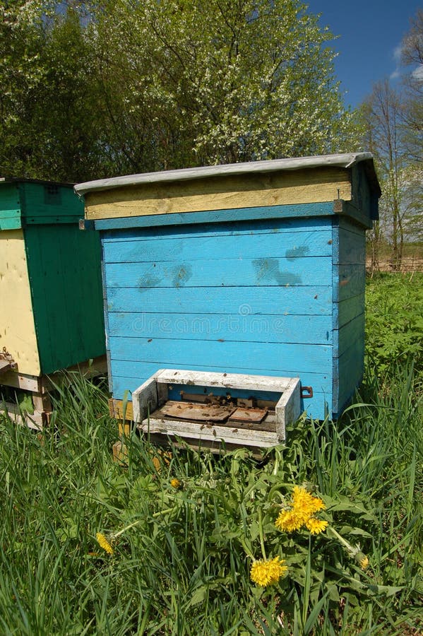 House for apitherapy stock photo. Image of beemaster - 33012132