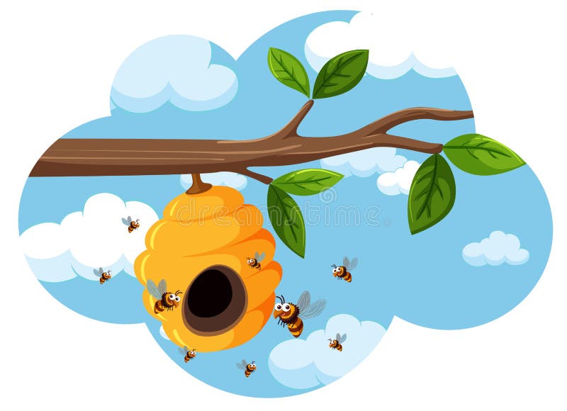 A Beehive on the Tree Branch Stock Vector - Illustration of nature ...