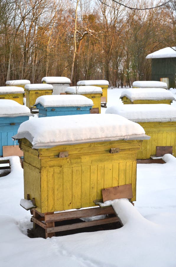 Beehives in Apiary Covered with Snow Stock Image - Image of climate ...