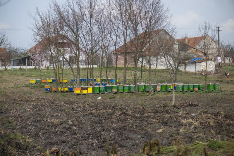 Beehives stock image. Image of beekeeper, agriculture - 68478011