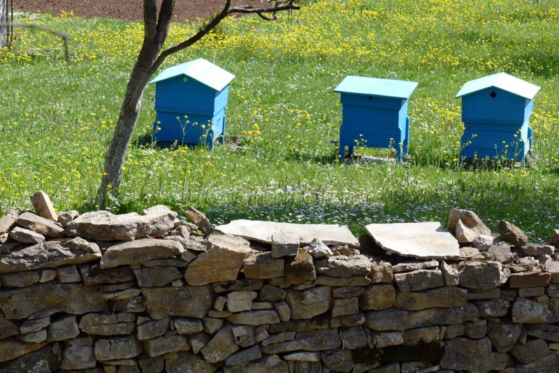 Beehives stock image. Image of fence, blooming, mood - 66527487