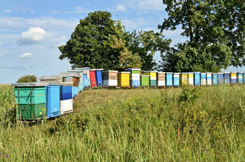 Beehives stock image. Image of fresh, beekeeping, europe - 51141147