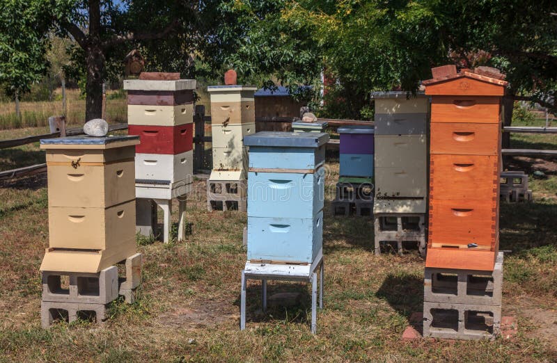 Beehives stock photo. Image of swarms, farming, honey - 70811992