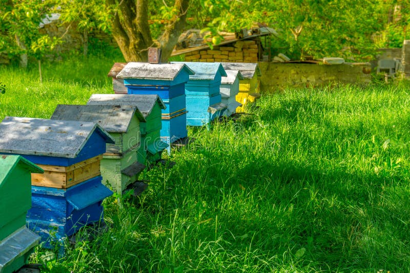 Beehives stock image. Image of pollen, bees, food, honey - 42395251