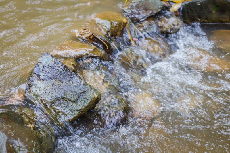 Beek stock foto. Image of berg, lente, water, groen, visserij - 98030664