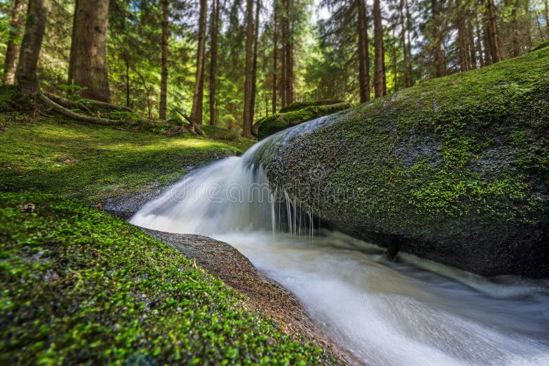 Beek in bos stock afbeelding. Image of bergen, kreek - 56096123
