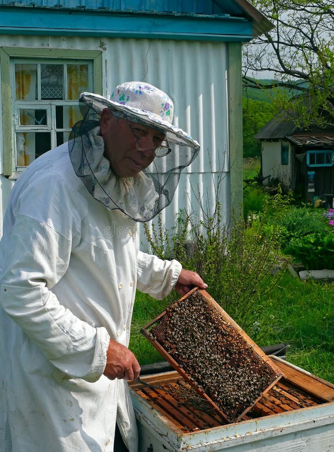 Beekeeper 13 stock photo. Image of beeswax, honey, garden - 5572106