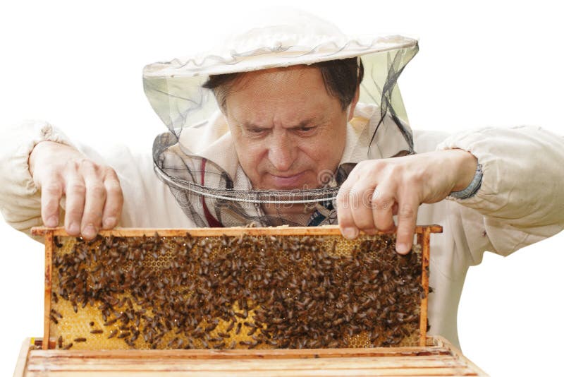 Beekeeper. stock image. Image of beehive, nature, agriculture - 28367539