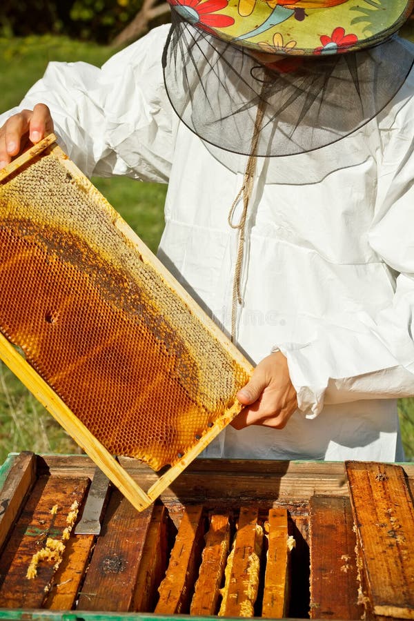 Beekeeper stock photo. Image of cheerful, pollen, pollinic - 27238896