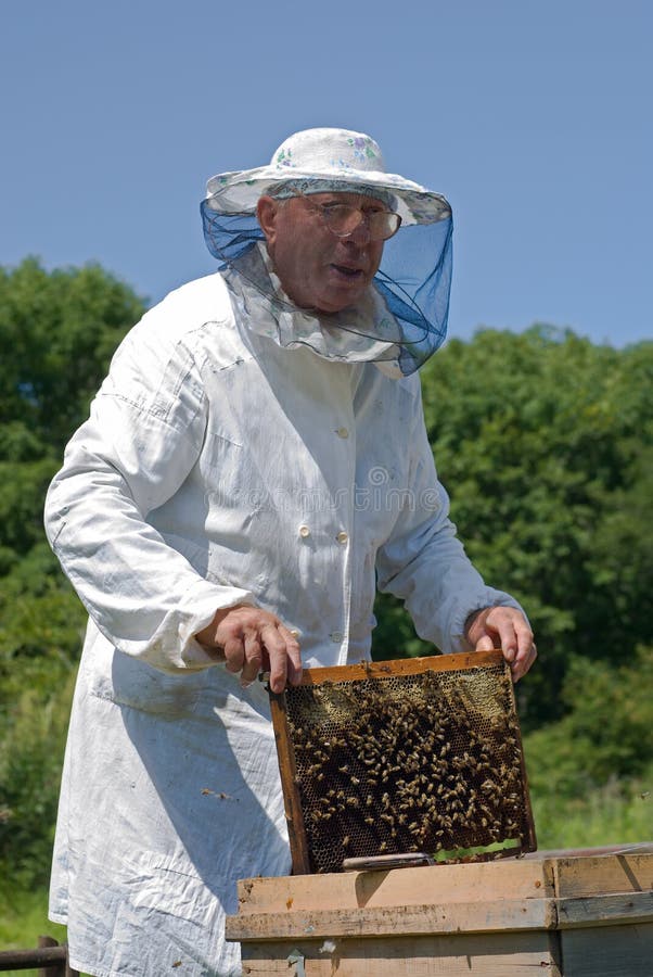 Beekeeper 6 stock image. Image of garden, hymenopterous - 3052261