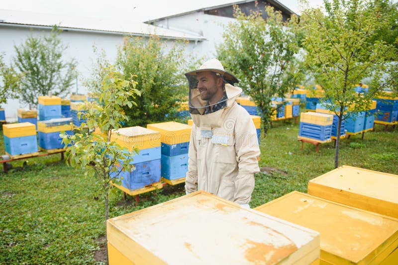 Beekeeper on Apiary. Beekeeper is Working with Bees and Beehives on the Apiary. Stock Photo ...