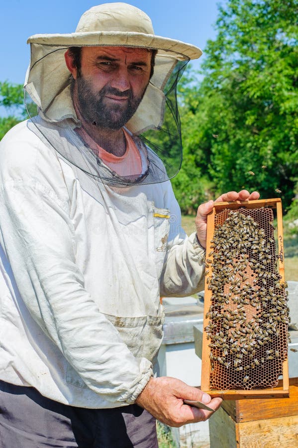 Beekeeper on apiary stock photo. Image of colony, agriculture - 61221284
