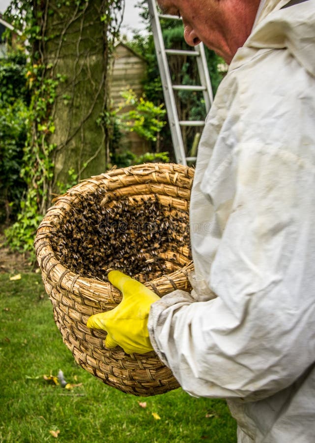 Beekeeper with a Beehive with a Bee Colony Editorial Stock Image ...