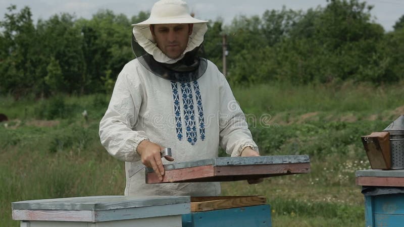 Beekeeper with Beehives and Honeycomb Stock Footage - Video of work ...