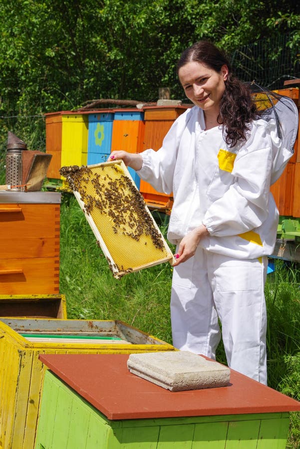 Beekeeper and beehives stock image. Image of beekeeping - 83821845