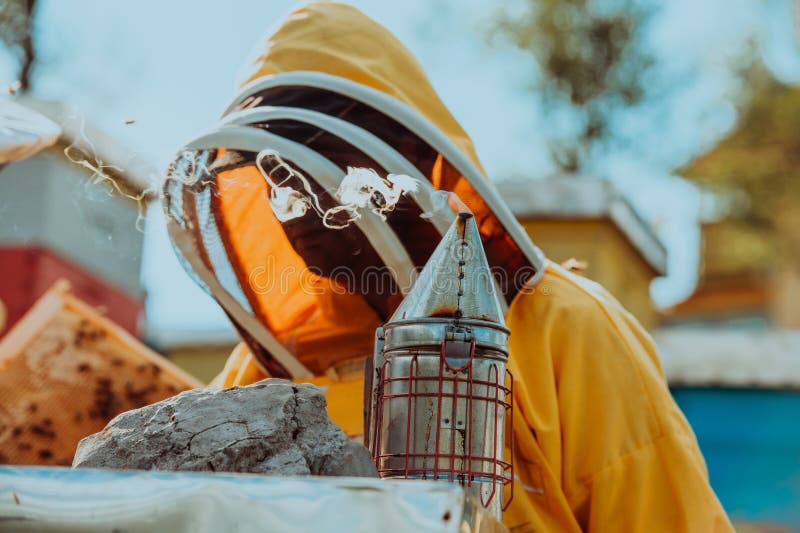 Beekeeper Checking Honey on the Beehive Frame in the Field. Beekeeper ...