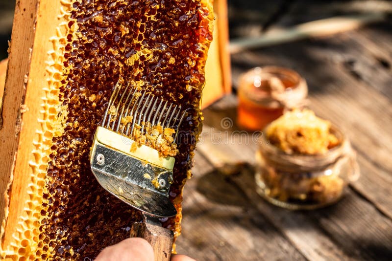 Beekeeper Collects the Honey. Beekeeping Tools Outside. Frame with Bees ...