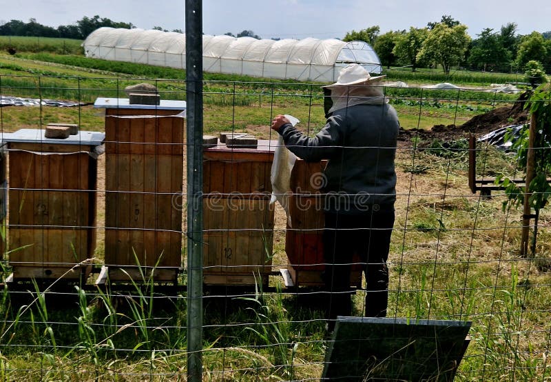 Occupied Zones Stock Photos - Free & Royalty-Free Stock Photos from ...