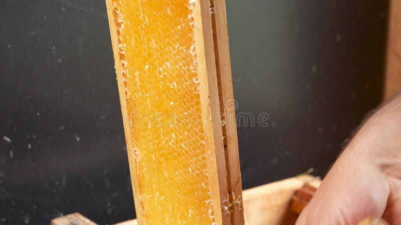 Beekeeper, without a Face, Deftly Opens the Wax Capsules with a Tool ...