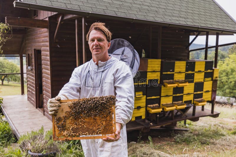 Beekeeper in Front of Beehive Boxes, Holding a Frame with Comb and Bees ...