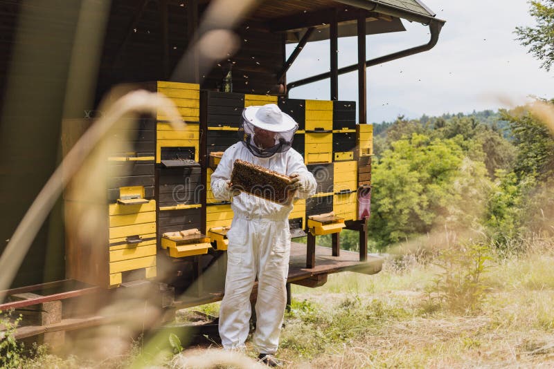 Beekeeper in Front of Beehive Boxes, Holding a Frame with Comb and Bees ...