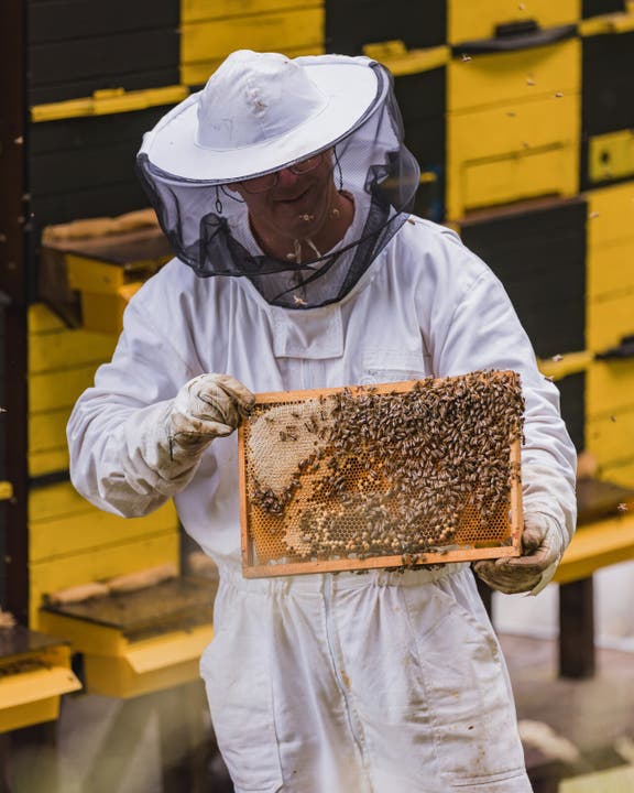Beekeeper in Front of Beehive Boxes, Holding a Frame with Comb and Bees ...