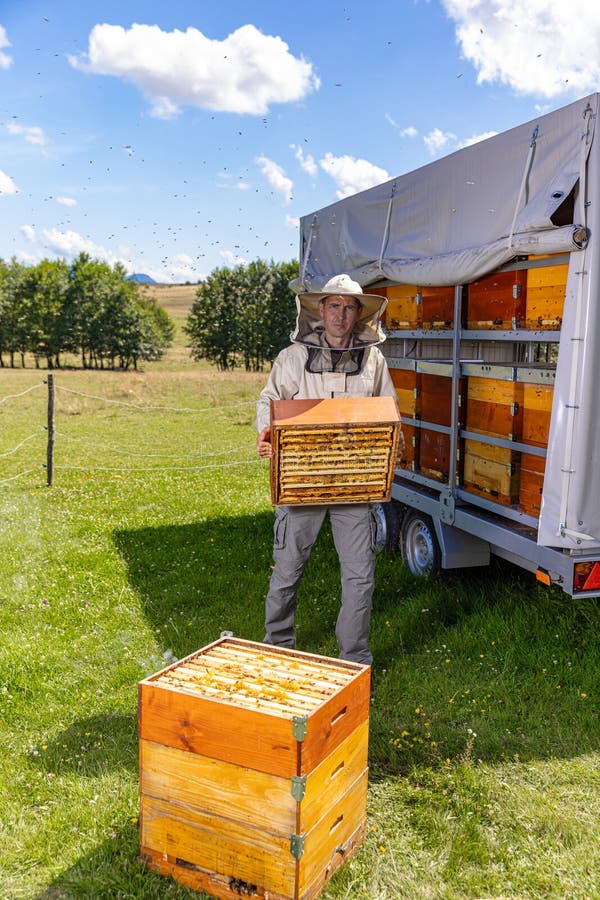 Beekeeper Holds a Honey Cells Stock Photo - Image of protective, frame ...