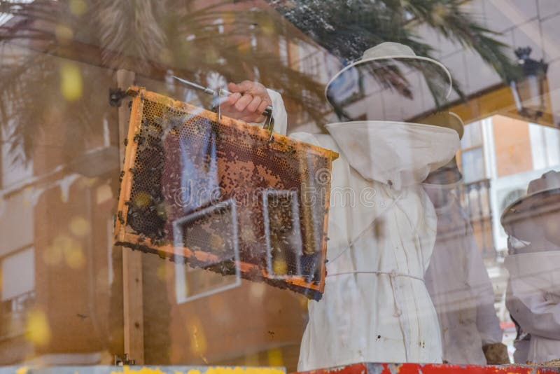Beekeeper Lifting a Frame of Honeycomb Out of the Hive with a Hoist ...