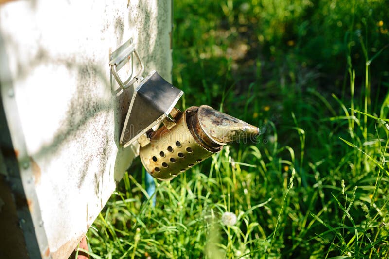 The Beekeeper Makes Smoke. Bee with Beehive and Frames Stock Photo ...