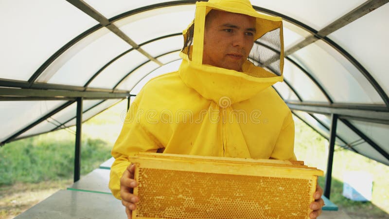 Beekeeper Man Walking with Wooden Frames Working in Apiary Stock Photo ...