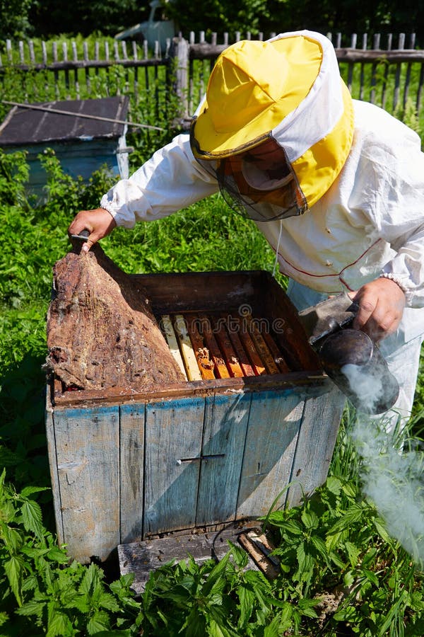 Beekeeper stock photo. Image of apiary, beekeeping, apis - 28862872