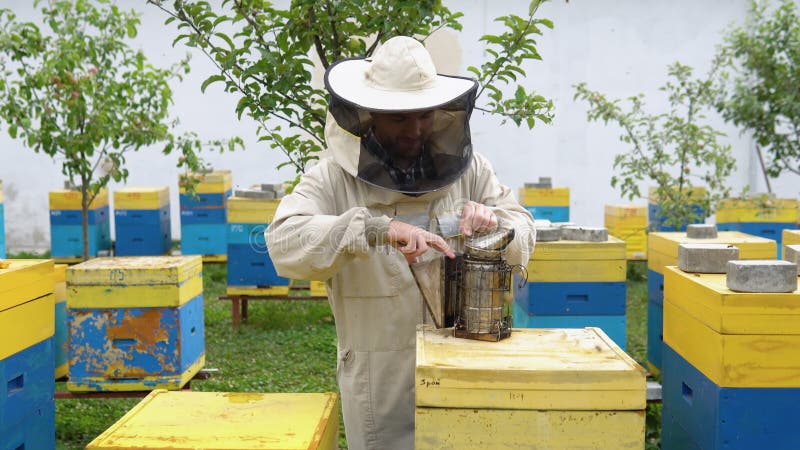 A Beekeeper Preparing Old Bee Smoker on the Apiary. Beekeeping Concept ...