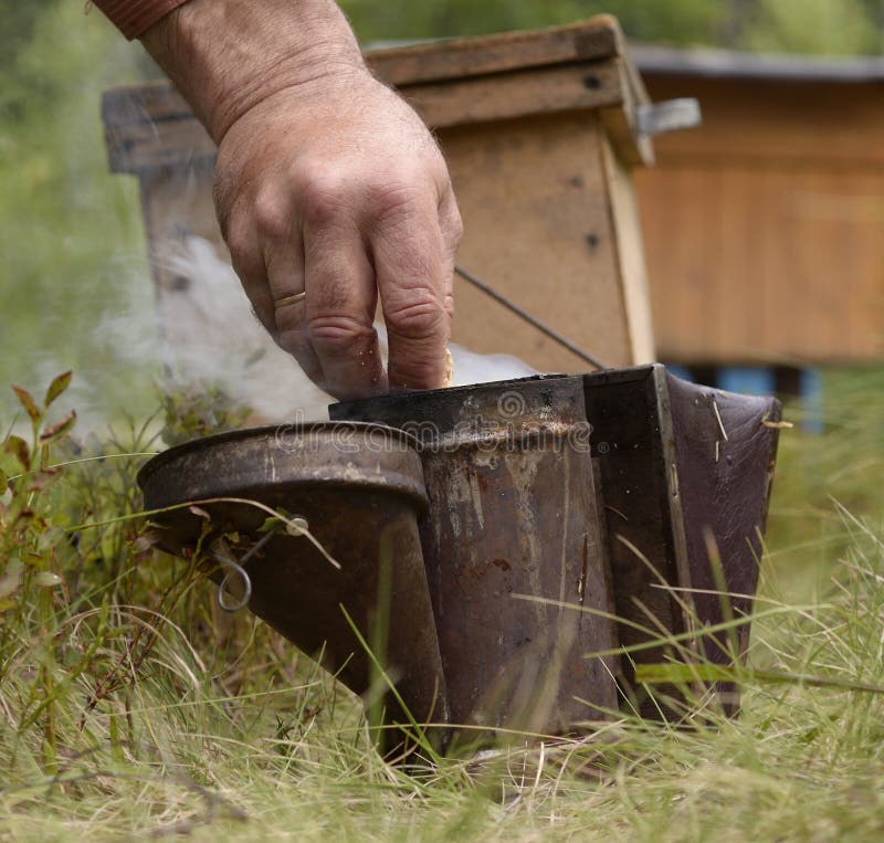 Beekeeper Preparing a Smoker for Fumigating Bees Stock Image - Image of ...