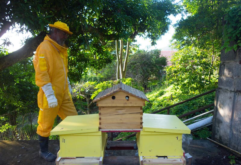 A Newly-built Double Bee Hive with a Flow Super As Seen at an Apiary in ...